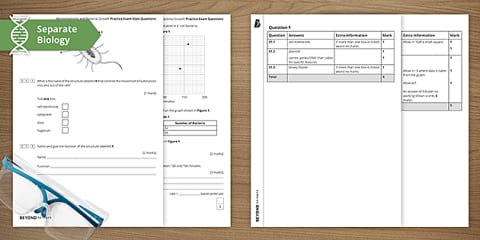 GCSE Bacterial Growth Calculations Worksheet