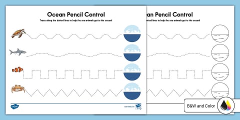 How Many Are There? Count the Ocean Animals Worksheet