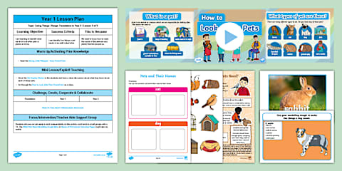 Year 1 Inclusion Living Things Differentiated Lesson Plan 1