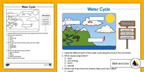 Color by Number Water Cycle Activity | Science | Twinkl USA