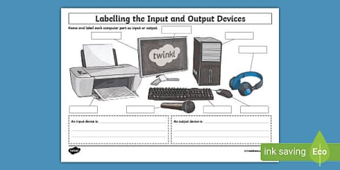 Computer Input and Output Interactive Sorting Game