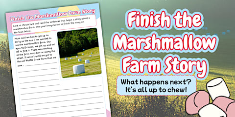 Comparing Night and Day in the Bush Worksheet