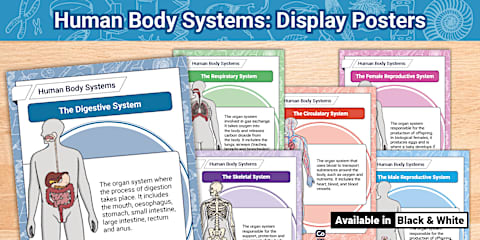 The Ten Human Body Systems Labelling Activity