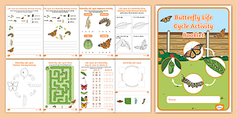 Butterfly Diary Writing Frame