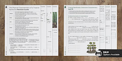 GCSE AQA Tropical Rainforest Characteristics Reading Comprehension