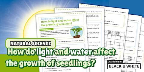 Grade 7 Natural Science - The Biosphere - Practical Activity and ...
