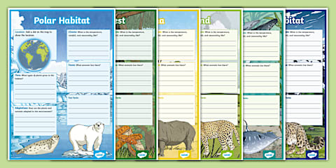 Comparing Different Life Cycles Display Posters Pack