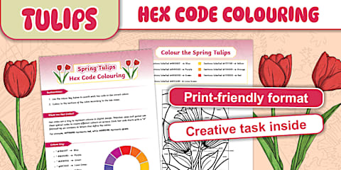 Hex Code Colouring- Snowflake Tessellation