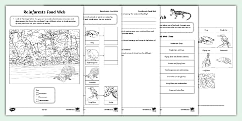 Grasslands Food Web Activity