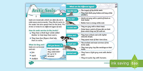All About Seals Mind Map