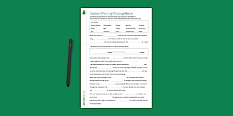 Limiting Factors of Photosynthesis Worksheet