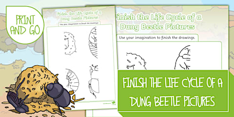 Draw the Elements of Art Activity Sheet