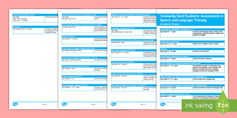Editable RAPT (Renfrew Action Picture Test) Assessment Report Template
