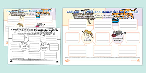 Comparing Wild and Domestic Animals Discussion Prompt Poster