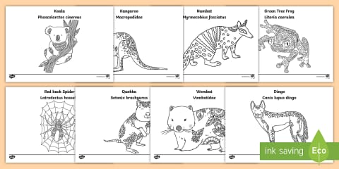 Native Animals of Australia Colouring Sheet