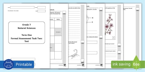 Grade 7 Natural Science Term 1 Class Test: The Biosphere