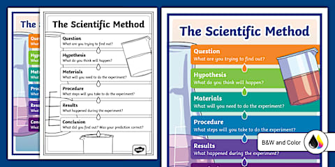 The Scientific Method: Display Posters