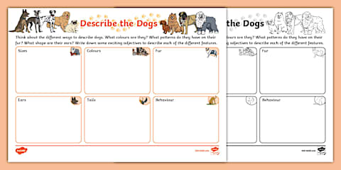 Lion Adjectives Worksheet