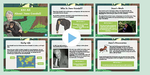 Jane Goodall Fact Cards - KS2 - Twinkl