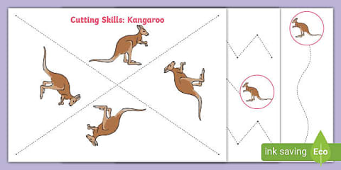 Kangaroo Fact Sheet