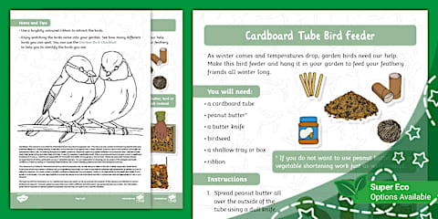 Three Simple Bird Feeder and Food Ideas