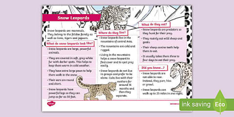 Snow Leopards Cloze Worksheet
