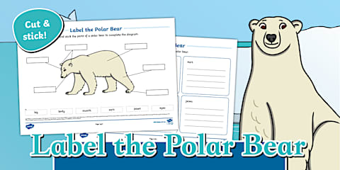 Polar Bear Craft with Cotton Balls
