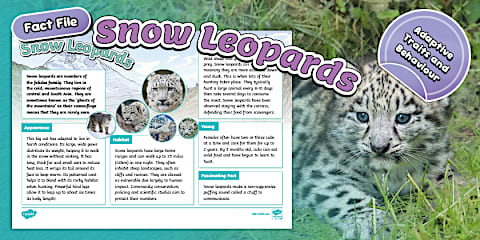 Snow Leopards Mind Map