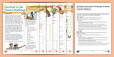 Desert Island Items Game - Beyond Transition Resources