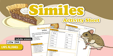 Grade 5 English Home Language – Term 3 - Figurative Language Task Cards