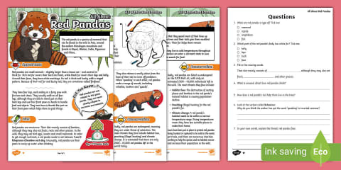 Red Pandas Teaching Pack