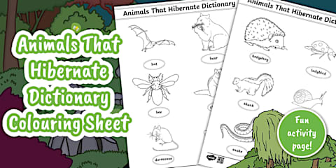 Foundation Phase Life Skills - Butterfly Life Cycle - Colouring Sheet ...