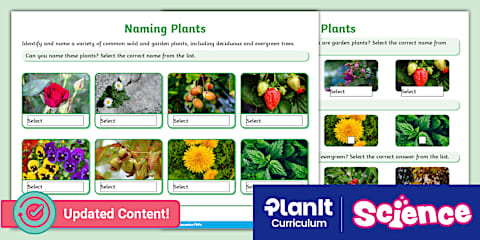 Naming Plants Game