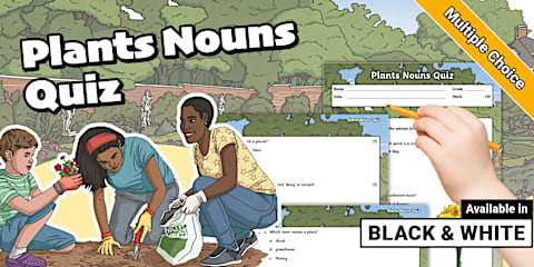 Intermediate Phase English – Term 2 - Different Types of Nouns - Poster ...