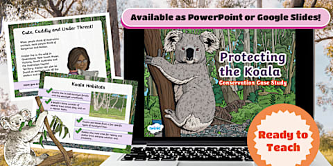STEM (Energy and Forces) The Power of Water Case Study (5th & 6th Class)