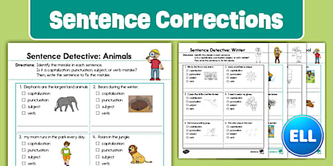 Plural Ending Sorting Worksheet for ELL