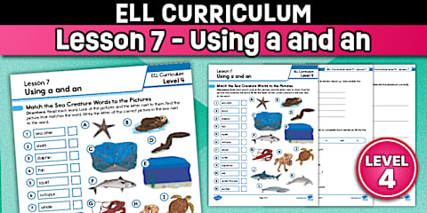 ELL Curriculum: Level 4, Lesson 7 Using a and an Google Slides & PowerPoint
