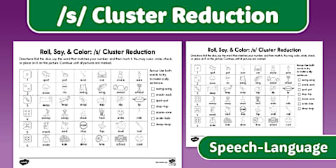 Articulation Initial /s/ Blend Words Flash Cards for SLP