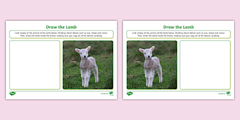 Describe the Lamb Writing Activity