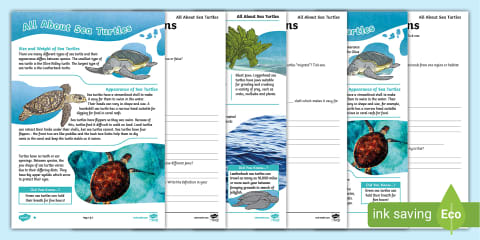 Sugar Glider Fact Sheet