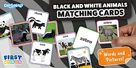 Originals First Words Matching Cards: Pond Life