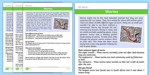 Worms Reading Comprehension Activity