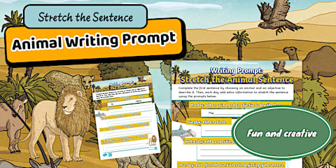 Create a Sentence Cards for Special Education
