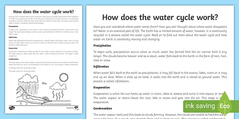 10 Facts About Drinking Water Worksheet
