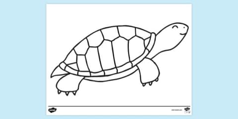 World Turtle Day Doodle Colouring Page