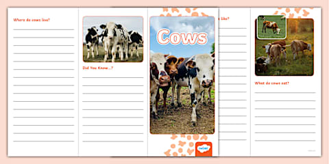 Farm Animals Fact File Template