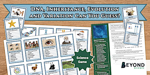 Genetics and DNA Word Wall
