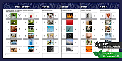 Reinforcing Sounds: CVC Matching Game