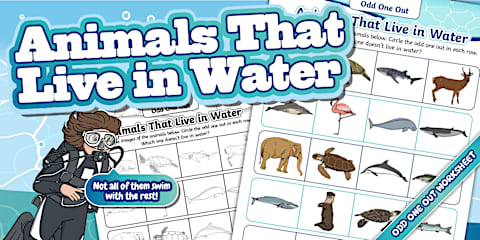 Water Transport Colour and Count Worksheet