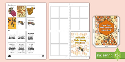 Busy Honeybees Reading Comprehension